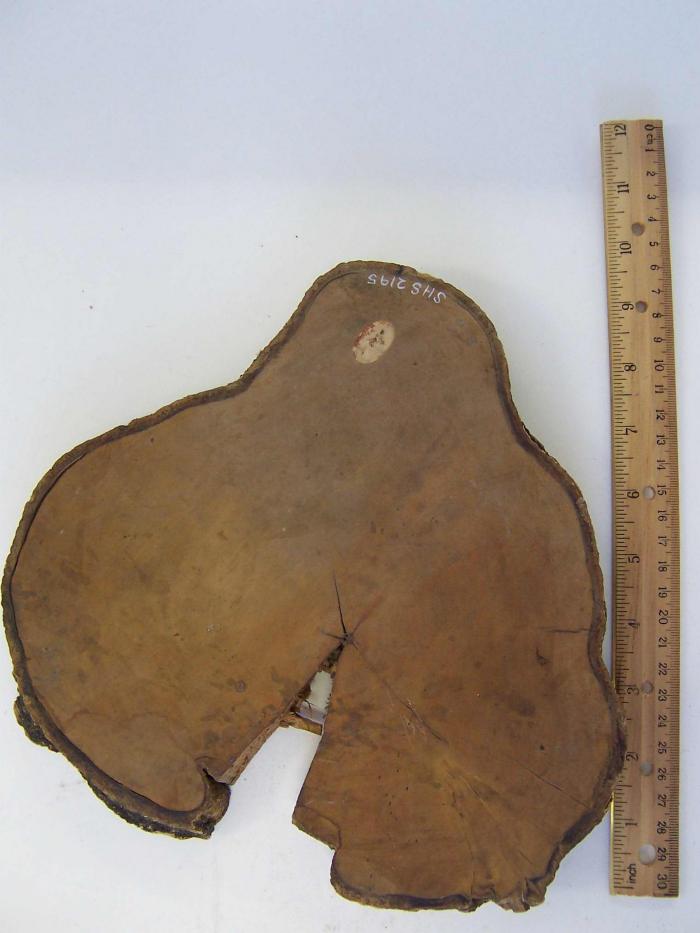 Connecticut Collections : Physical Object : wood;wood [SHS 2195]